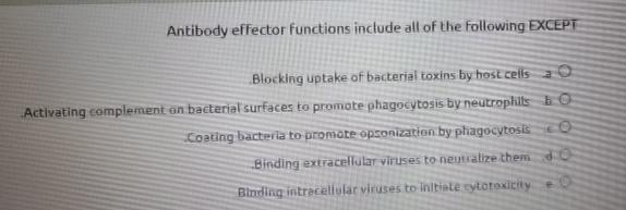Solved Antibody effector functions include all of the | Chegg.com