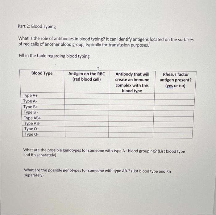 Solved Part 2: Blood Typing What is the role of antibodies | Chegg.com