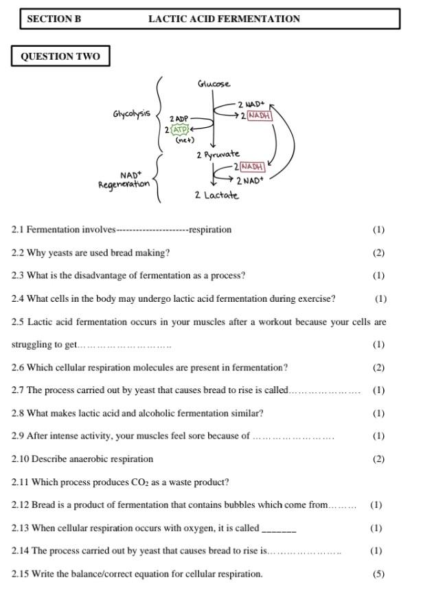 Solved SECTION B LACTIC ACID FERMENTATION QUESTION TWO | Chegg.com