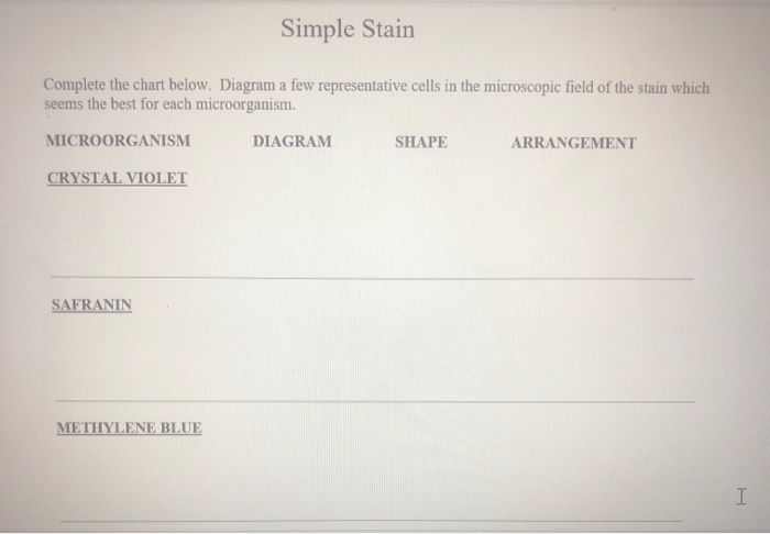 Solved Simple Stain Complete the chart below. Diagram a few | Chegg.com