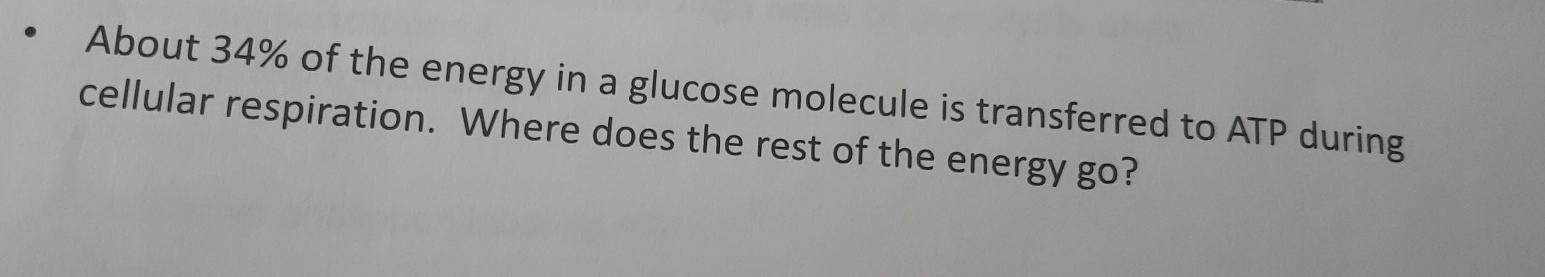Solved H20 CO, synthesis occurs in two stages: LIGHT and | Chegg.com