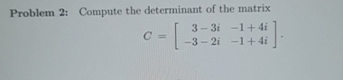 Solved Problem 2: Compute the determinant of the | Chegg.com