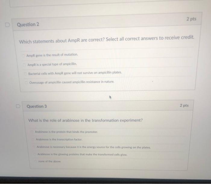 Solved Which statements about AmpR are correct? Select all | Chegg.com