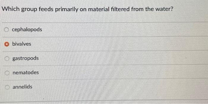 Solved Which group feeds primarily on material filtered from | Chegg.com