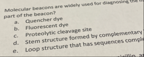 Solved Molecular beacons are widely used for diagnosing the | Chegg.com