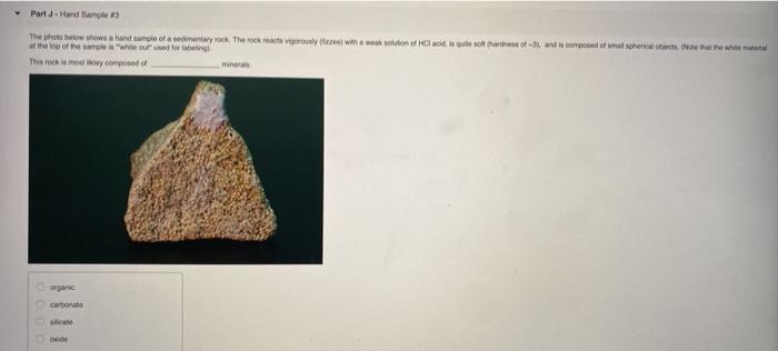 Solved The photo below shows a hand sample of a sedimentary | Chegg.com