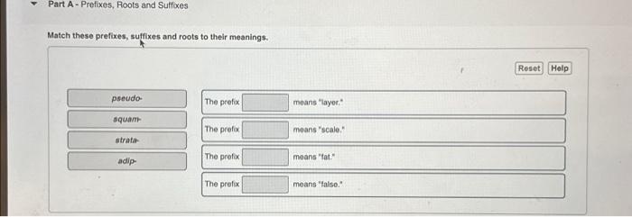 Solved Match these prefixes, suffixes and roots to their | Chegg.com