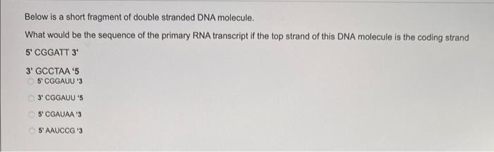 Solved Below is a short fragment of double stranded DNA | Chegg.com