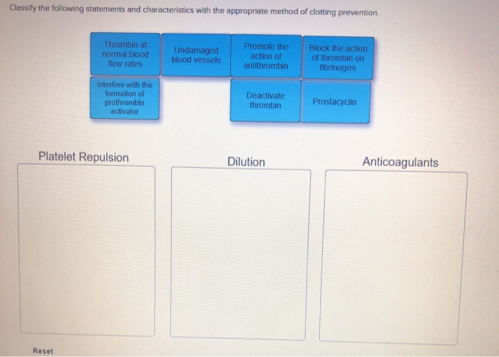 Solved Classify the following statements and characteristics | Chegg.com