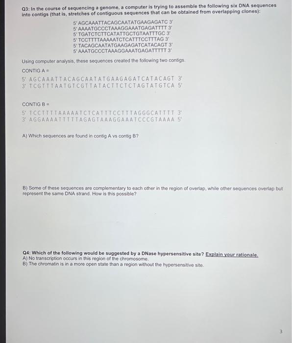 Solved Q1: You use the primer 5′ CTGATAGTAGATAG 3′ to | Chegg.com