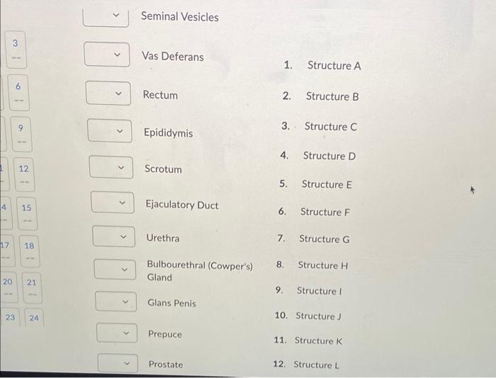 Solved The Reproductive System Question 1 (12 points) Match | Chegg.com
