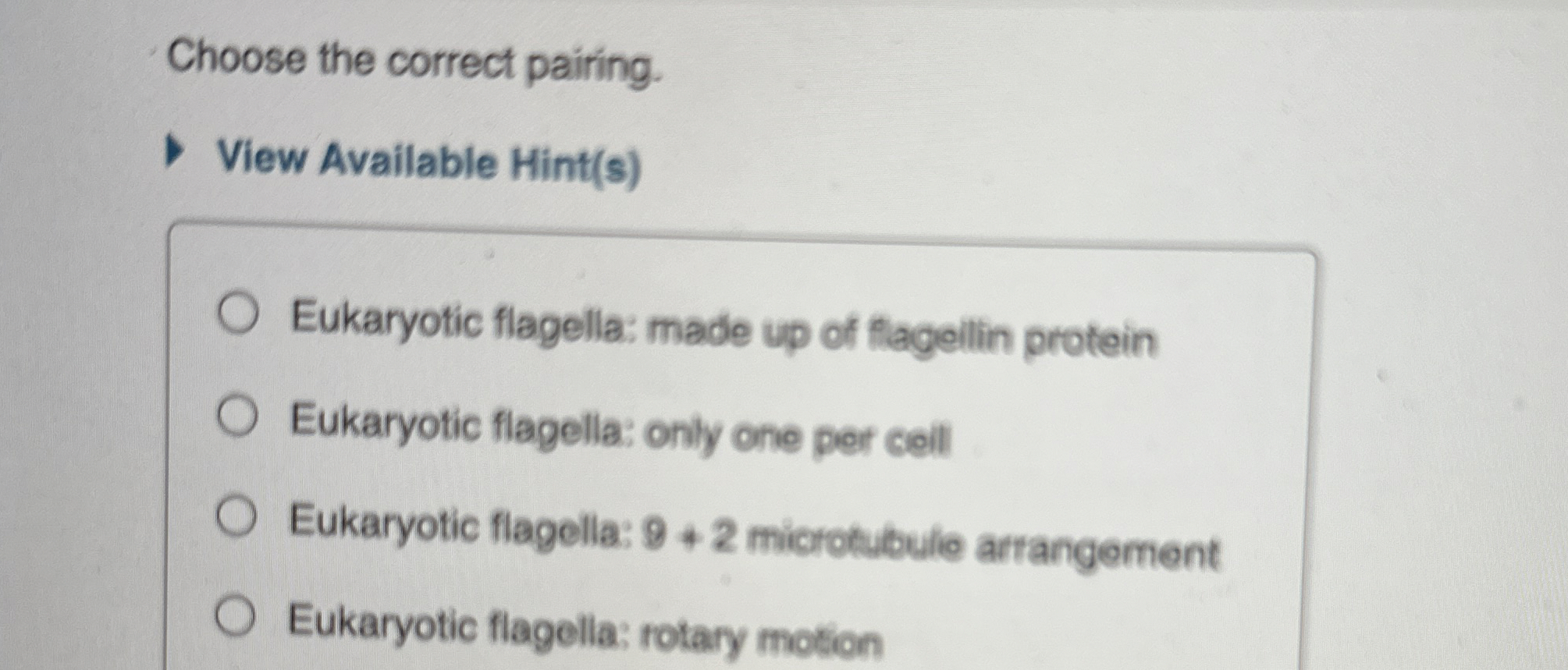 Solved Choose the correct pairing.View Available | Chegg.com