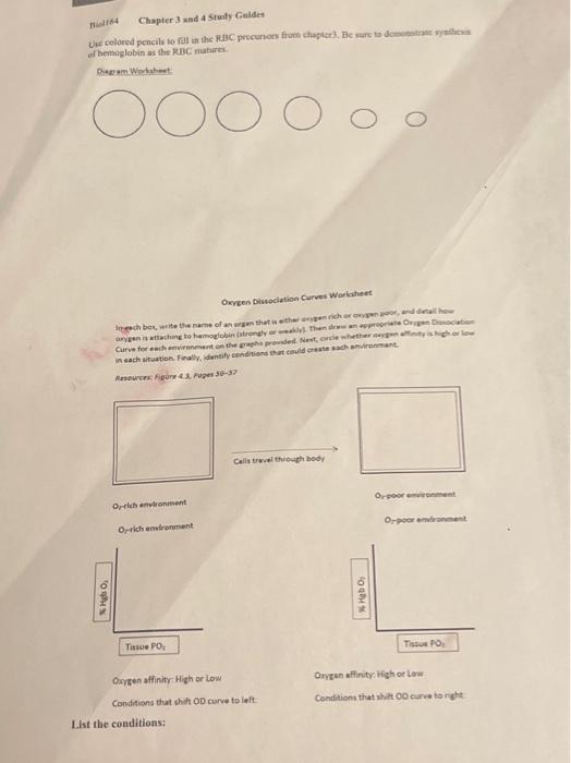 Solved Biol164 Chapter 3 and 4 Study Guides Use colored | Chegg.com