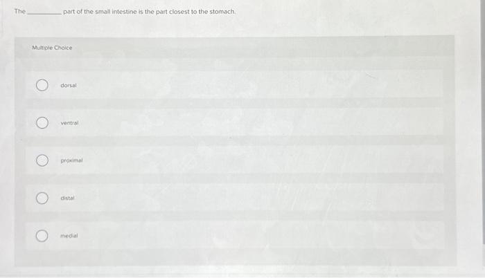 Solved The part of the small intestine is the part closest | Chegg.com