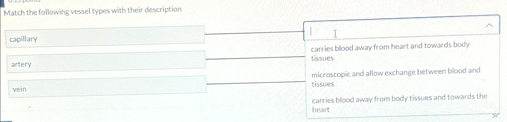 Solved Match the following vessel types with their | Chegg.com