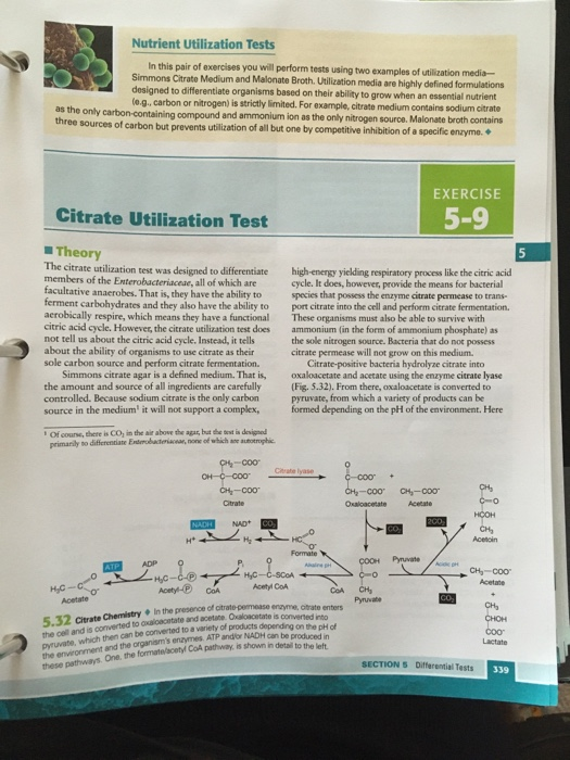 Citrate Utilization Test OBSERVATIONS AND | Chegg.com