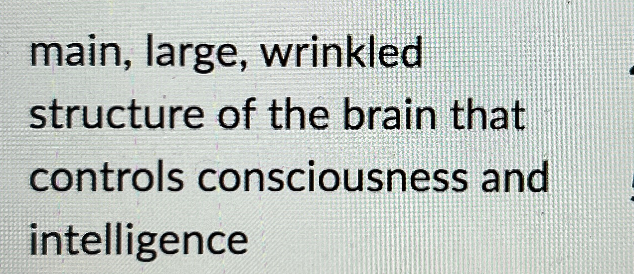 Solved main, large, wrinkled structure of the brain that | Chegg.com