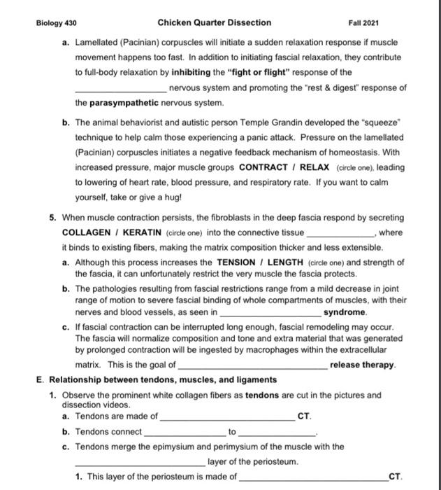 Solved Biology 430 Chicken Quarter Dissection Fall 2021 a. | Chegg.com