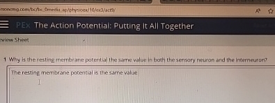 Solved PEx The Action Potential: Putting It All Togetherriew | Chegg.com