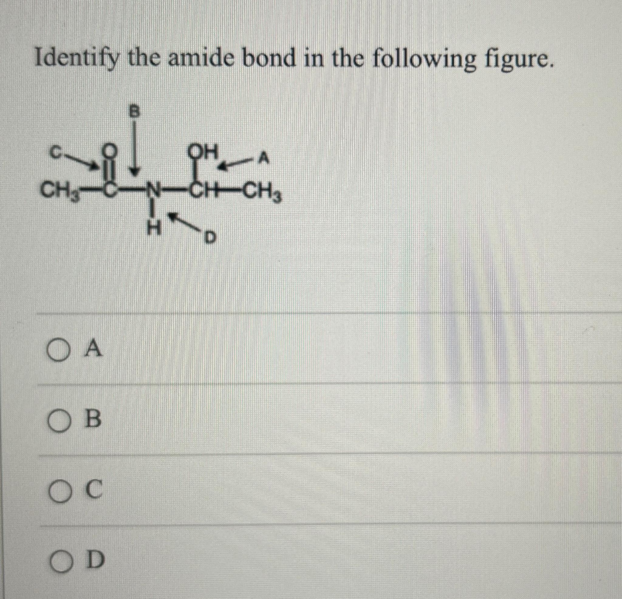 Solved Identify the amide bond in the following figure.ABCD | Chegg.com