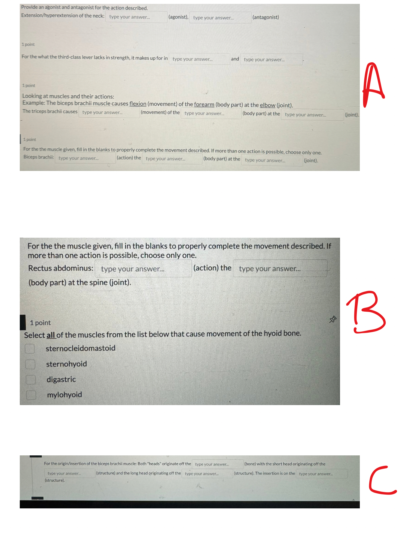 Solved PLEASE HELP SOLVING IMAGES A, B and CProvide an | Chegg.com Solved PLEASE HELP SOLVING IMAGES A, B and CProvide an | Chegg.com