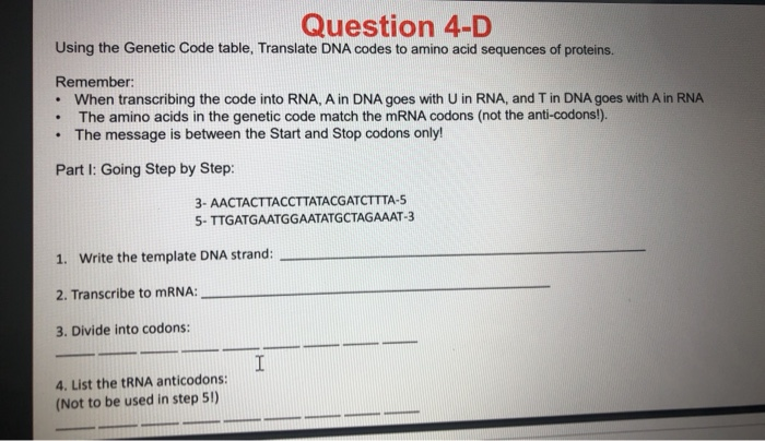 Solved Question 4-D Using the Genetic Code table, Translate | Chegg.com
