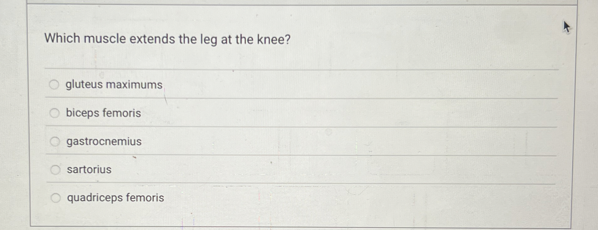Solved Which muscle extends the leg at the knee?gluteus | Chegg.com