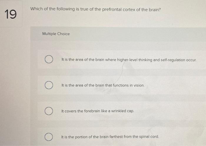 Solved Which of the following is true of the prefrontal | Chegg.com