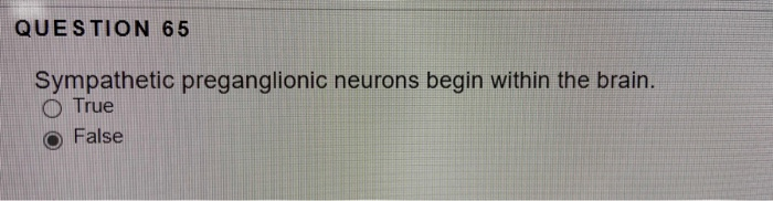 Solved QUESTION 65 Sympathetic preganglionic neurons begin | Chegg.com