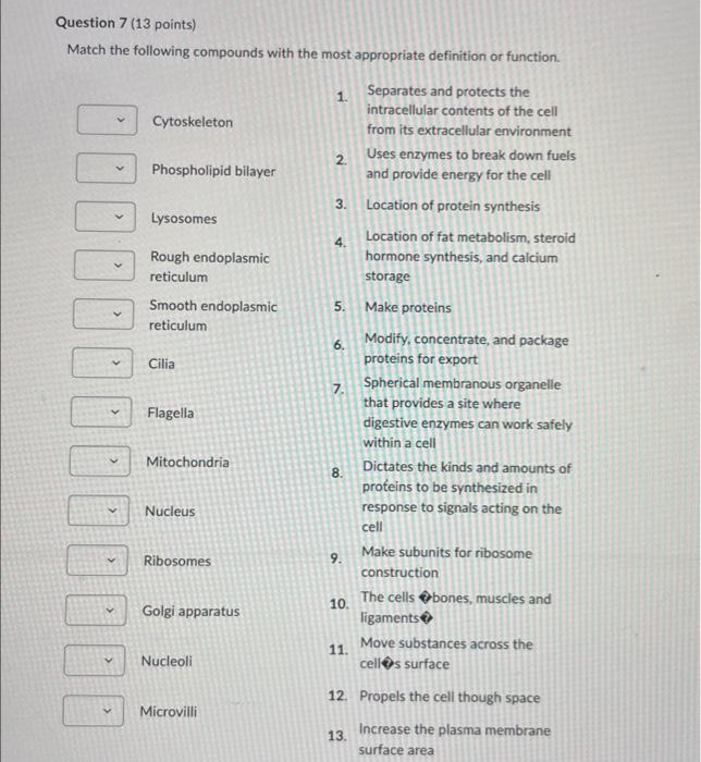 Solved Question 7 (13 points) Match the following compounds | Chegg.com