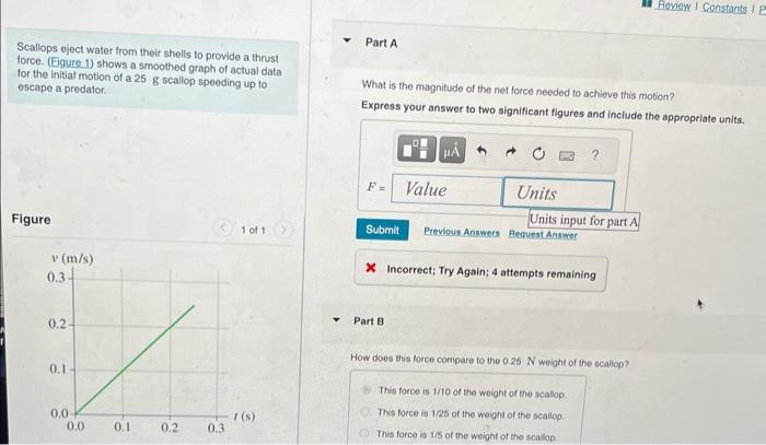 Solved Scallops eject water from their shells to provide a | Chegg.com