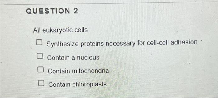 Solved QUESTION 2 All eukaryotic cells Synthesize proteins | Chegg.com