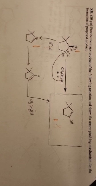 Solved XII. (10 ﻿pts) ﻿Provide the major product of the | Chegg.com