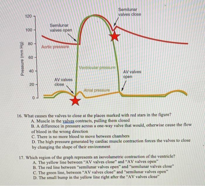 Solved Semilunar valves close 120 100 Semilunar valves open | Chegg.com