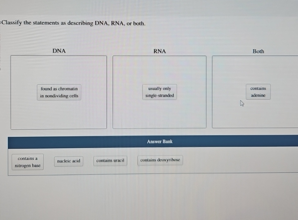 Classify the statements as describing DNA, RNA, or | Chegg.com