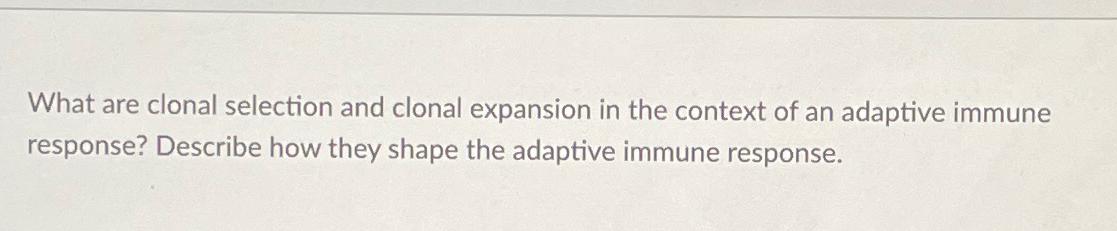 Solved What Are Clonal Selection And Clonal Expansion In The