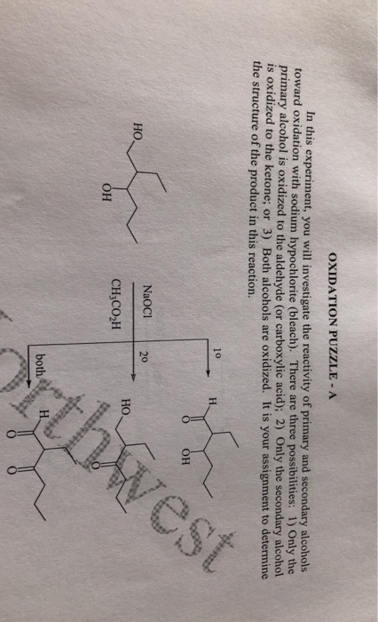 Solved OXIDATION PUZZLE - A In this experiment, you will | Chegg.com