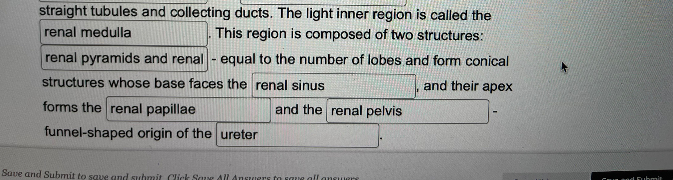 Solved QUESTION 1Structure of the Kidneys - ﻿Complete the | Chegg.com