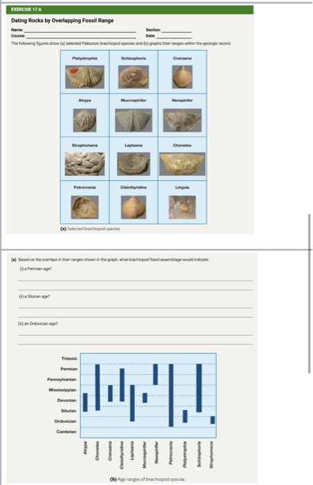Solved EXERCISE 17.6 Dating Rocks by Overlapping Fossil | Chegg.com
