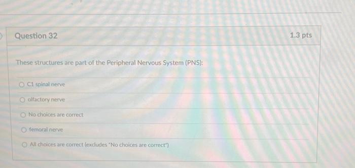 Solved These structures are part of the Peripheral Nervous | Chegg.com