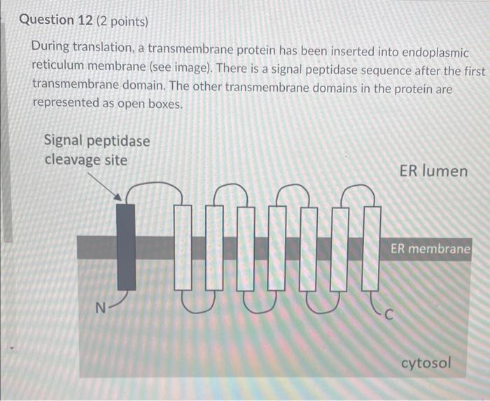 Solved Proteins destined for the mitochondria have an | Chegg.com