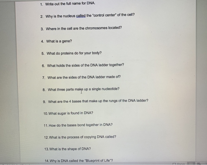 Solved 1. Write out the full name for DNA. 2. Why is the | Chegg.com