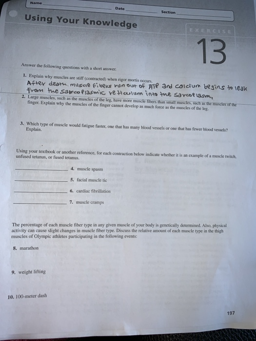 Solved Date Section Using Your Knowledge EXERCIS Answer the | Chegg.com