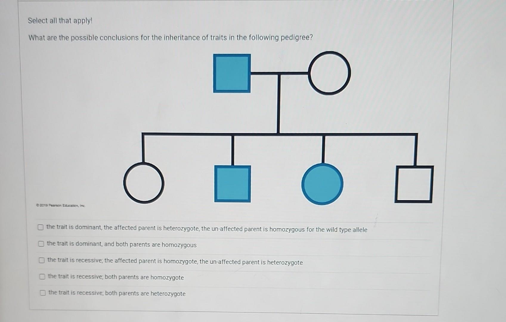 Solved What are the possible conclusions for the inheritance | Chegg.com