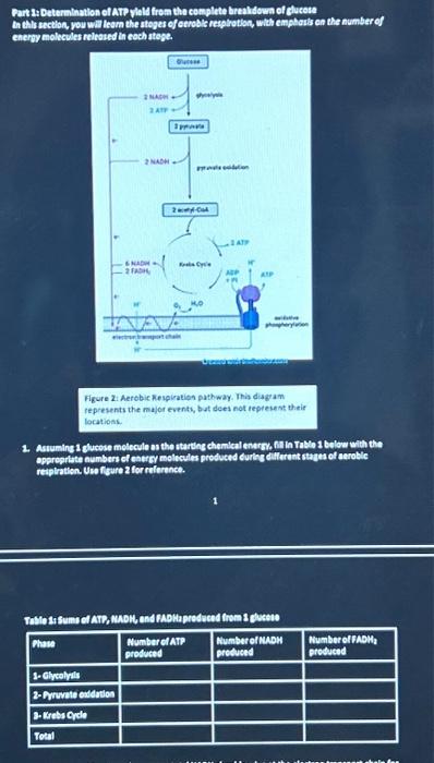 Solved eneror melucules relrared in each atege. Figure 2: | Chegg.com