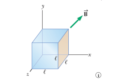 Solved A cube of edge length ℓ = 2.0 ﻿cm is positioned as | Chegg.com