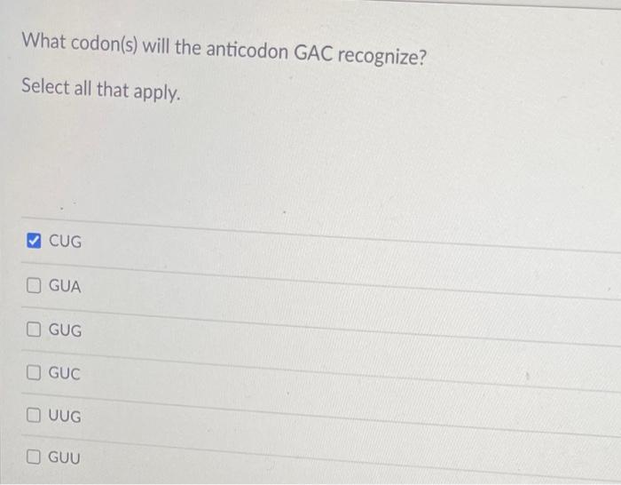 Solved What codon(s) will the anticodon GAC recognize? | Chegg.com