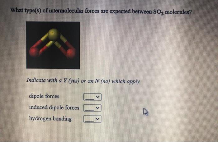 Solved What type(s) of intermolecular forces are expected | Chegg.com