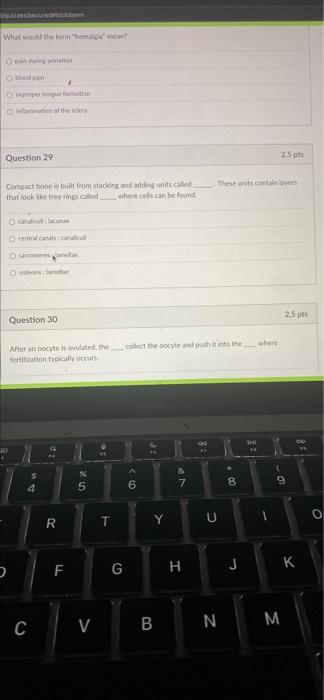 Solved Utzzes/secured lockdown What would the term | Chegg.com