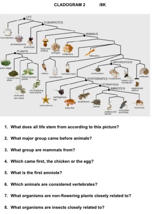 Solved CLADOGRAM 1 Hagfish Salamander Lizard Perch Feathers | Chegg.com